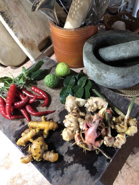 Galangal Spice Paste Plus 5 Easy Recipes | GROW FOOD slow food